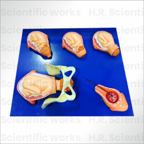 H.R. Scientific Works